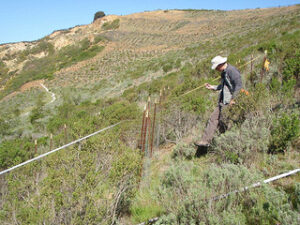 Conservation Planning | H. T. Harvey & Associates